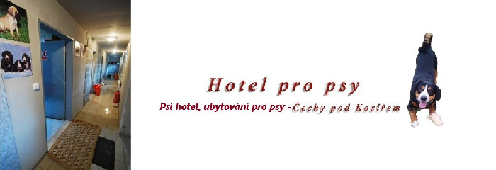 O nás :: Hotel pro psy